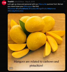 20 Best Restaurant Social Media Post Ideas (2024) | UpMenu