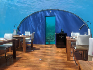 25 Best Small Restaurant Ideas, Themes & Concepts (2024) | UpMenu