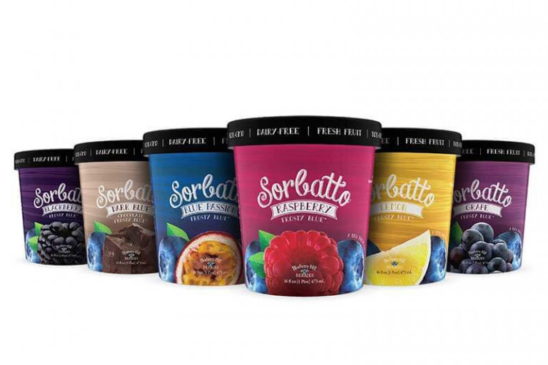 25 Unique Ice Cream Shop Ideas, Themes & Concepts (2023) | UpMenu