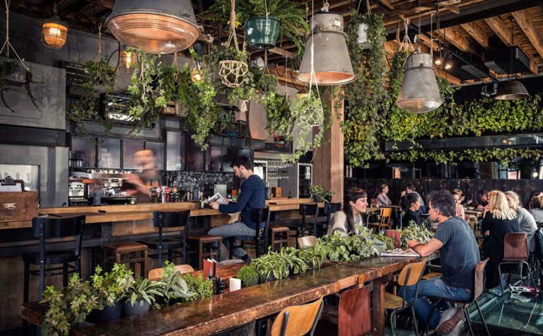 25 Unique Cafe Ideas, Themes & Concepts (2024) | UpMenu